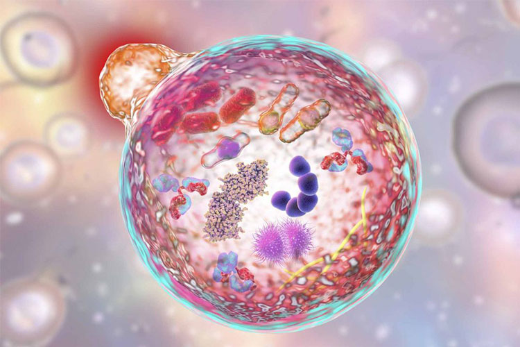 Fisioterapia para Mucopolisacaridosis | Tratamiento y Beneficios